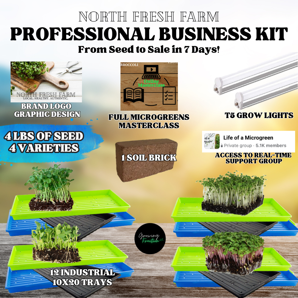 Professional Business Grow Kit Masterclass Graphic Design Included