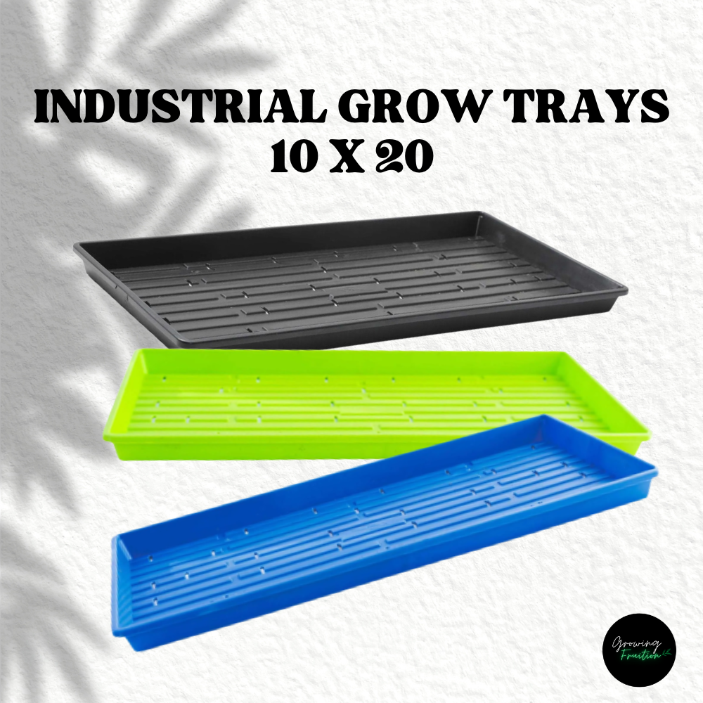 10x20 Industrial Grow Trays | Growing Fruition