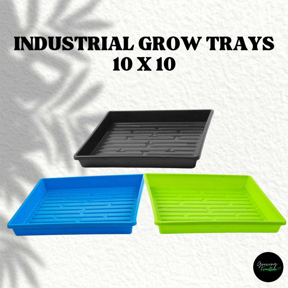 10x10 Industrial Grow Trays | Growing Fruition