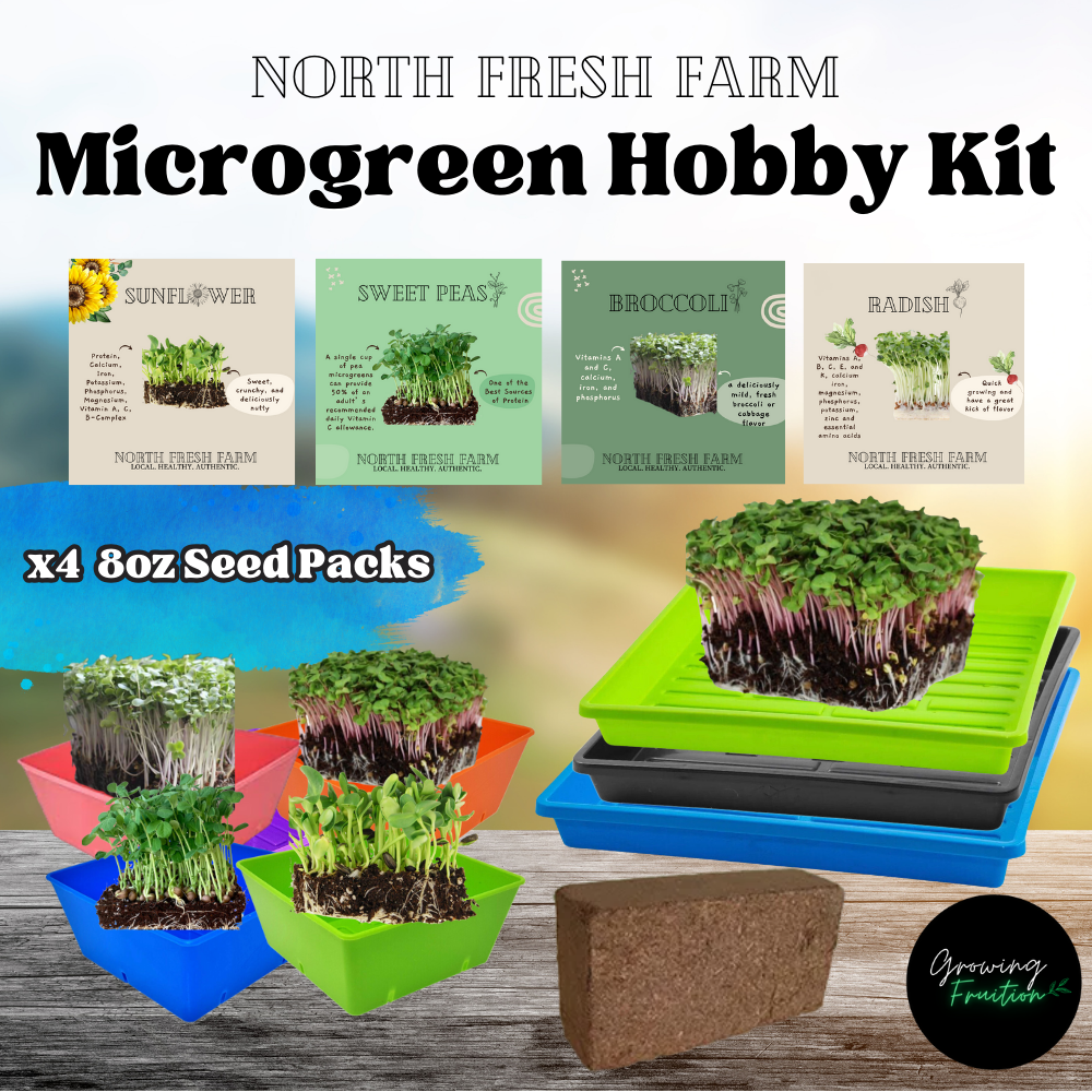Microgreen Hobby Kit | Growing Fruition
