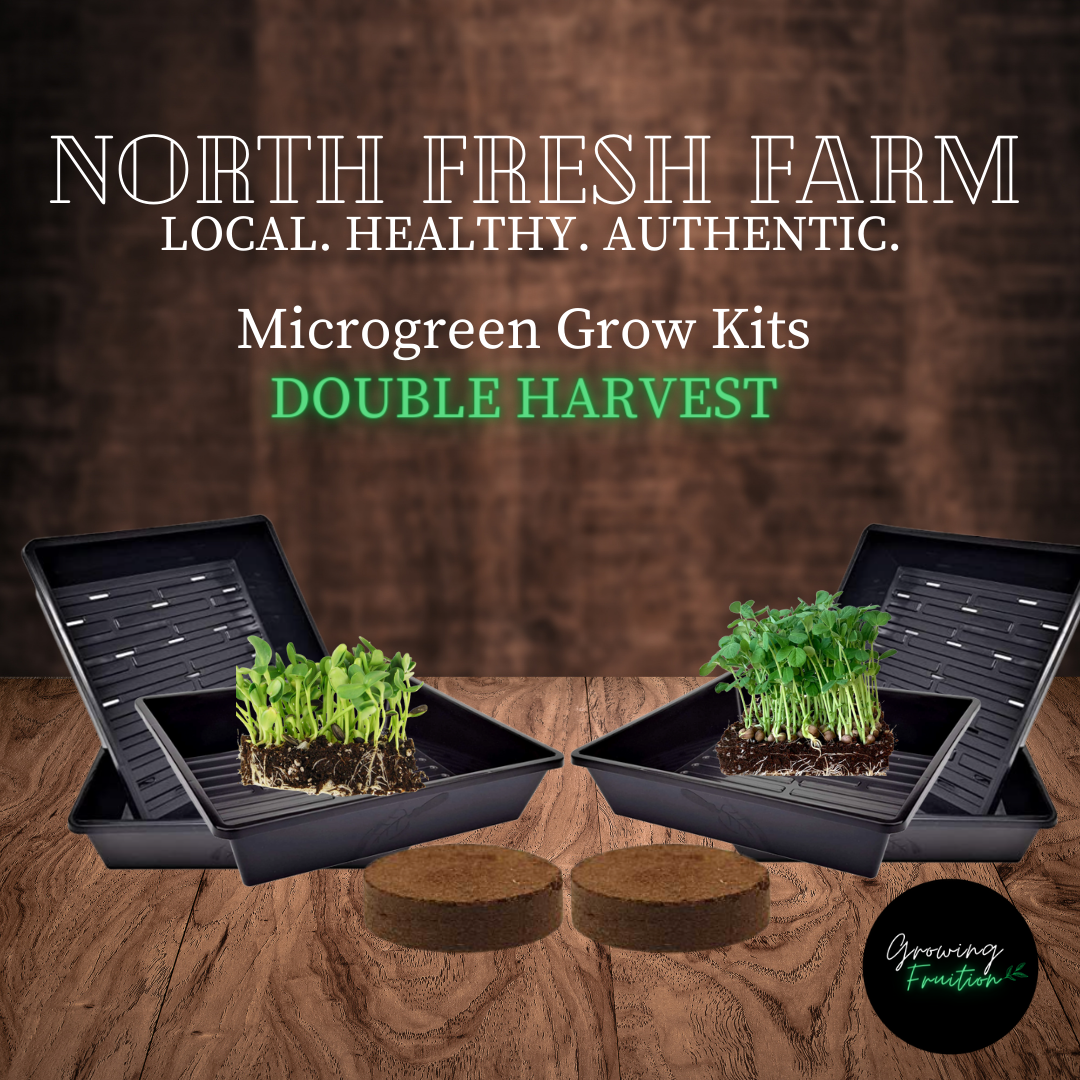 Double Harvest Grow Kit | Growing Fruition