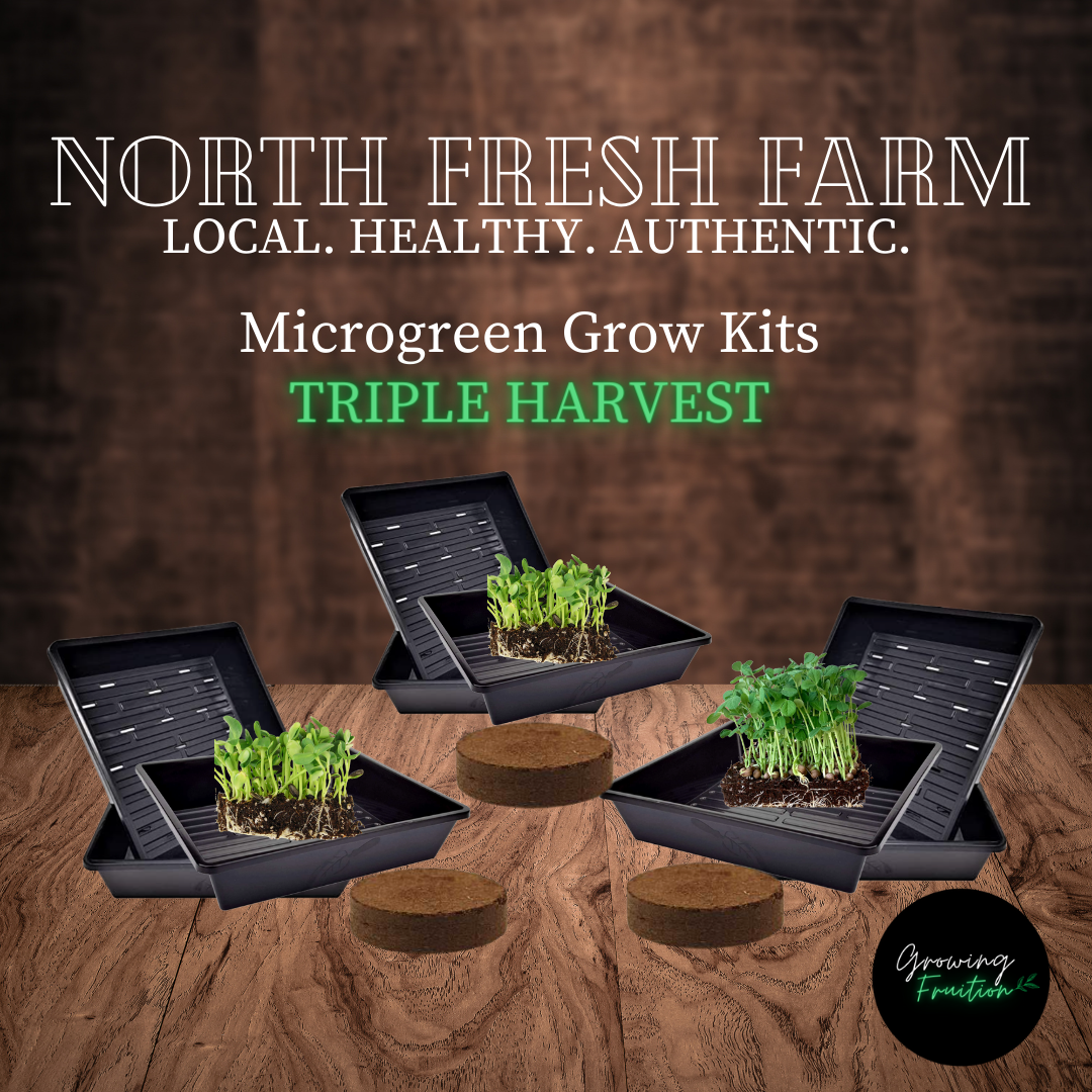 Triple Harvest Grow Kit | Growing Fruition
