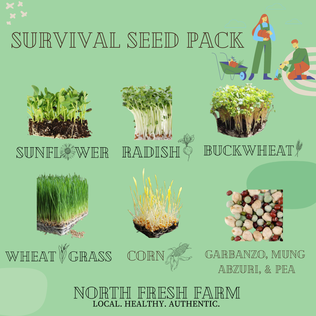 Survival Seed Pack | Growing Fruition